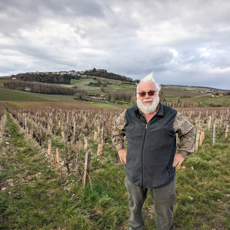 Vineyards - Petit Vin